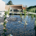 Grindgazon voor duurzame opritten en parkeerplaatsen | Jatu