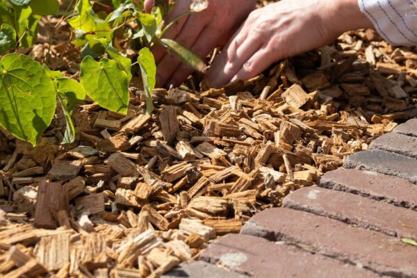 Grindgazon voor duurzame opritten en parkeerplaatsen | Jatu