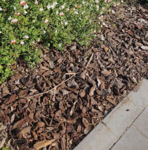 Grindgazon voor duurzame opritten en parkeerplaatsen | Jatu