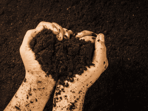 Grindgazon voor duurzame opritten en parkeerplaatsen | Jatu